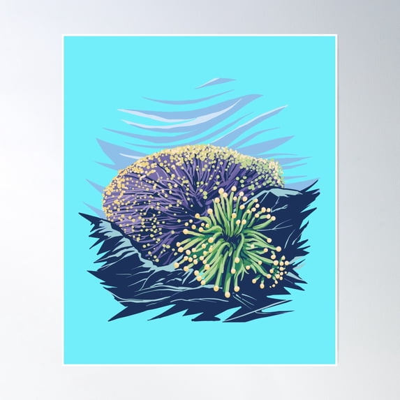 Beautiful Watercolor Aqua Corals Underwater- Vintage Wall Arttrendy ...