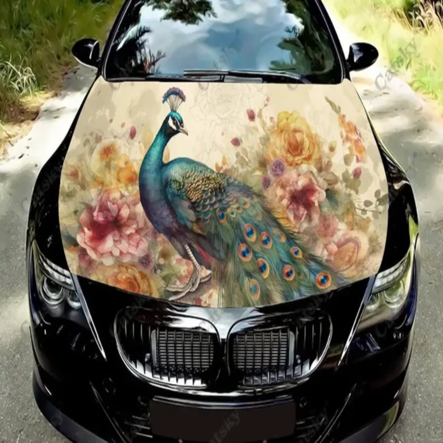 Beautiful Watercolor Peacock Pattern Vinyl Car Hood Stickers - Stunning ...