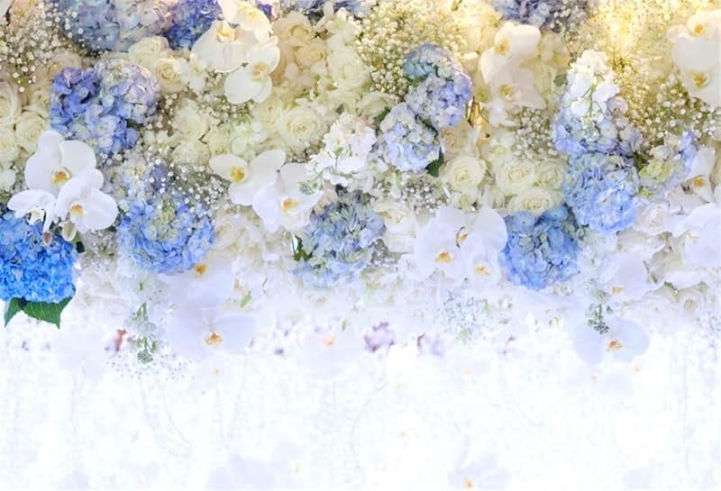 Beautiful White Blue Flowers Background for Wedding Photography Ladies ...