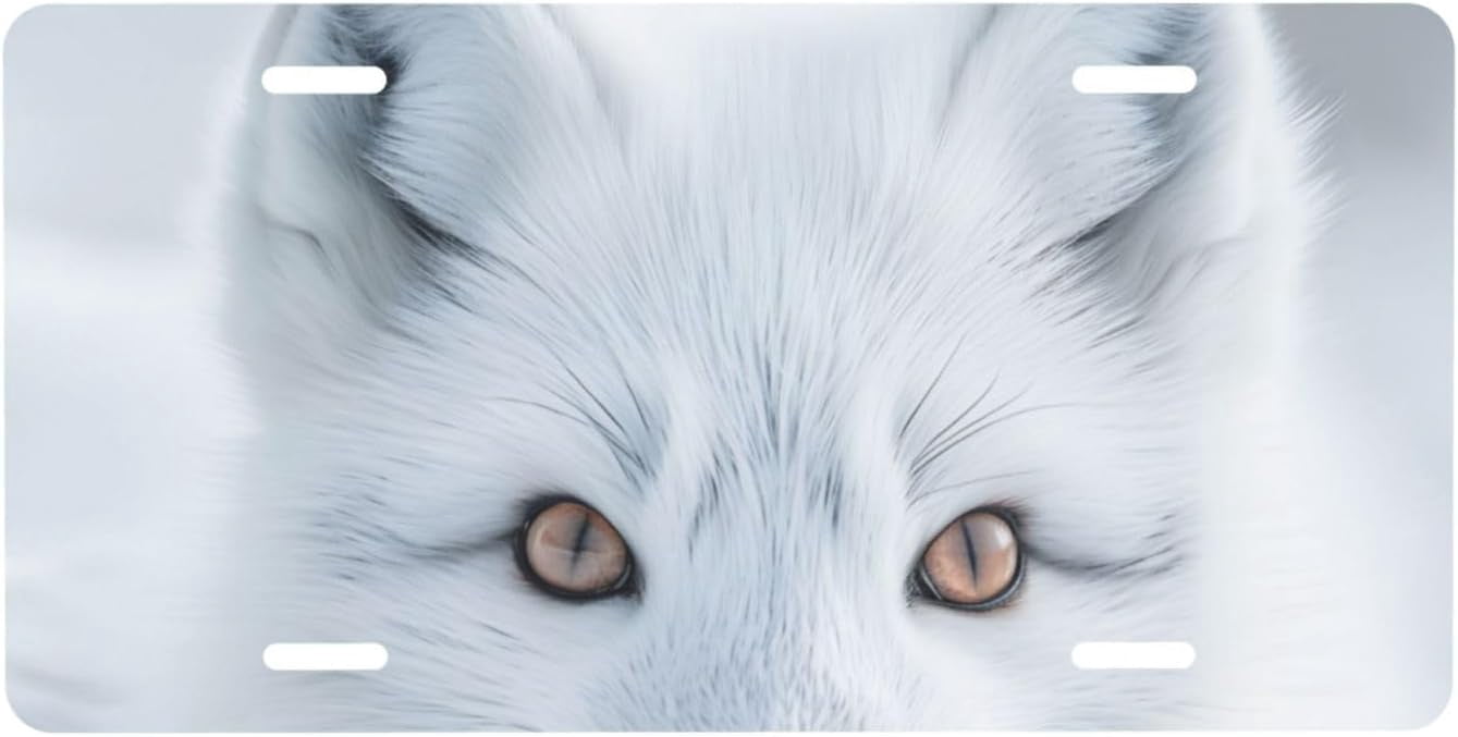 Beautiful White Fox License Plate, Decorative Car Front License Plate ...