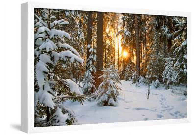 Beautiful Winter Landscape with Sunset in the Forest, Scenic Framed Art ...