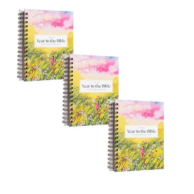 A Beautiful Year in the Bible - Women's Bible Study Journal 3PC Set ...
