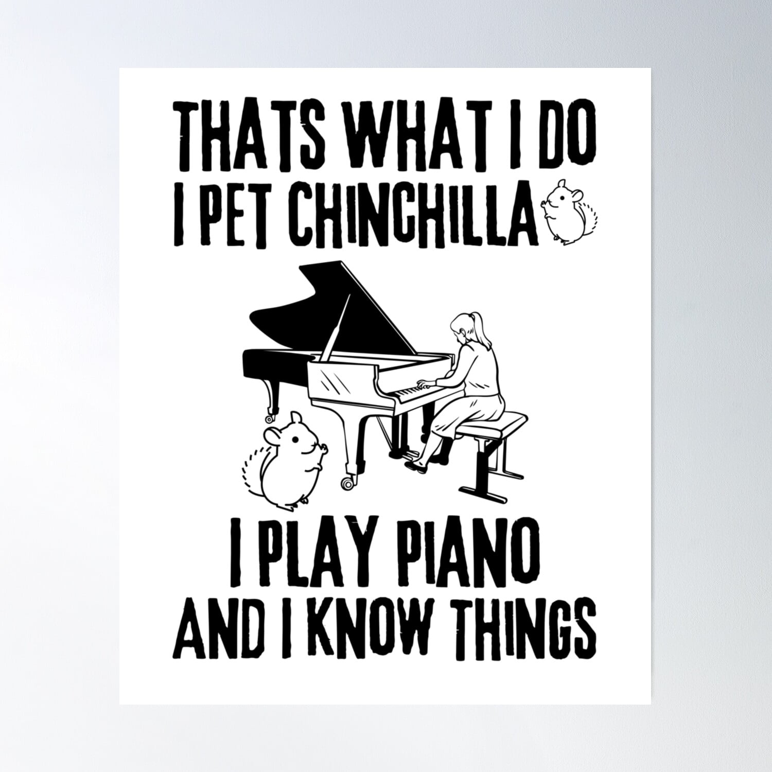 Beautifull Chinchillas Lover Play Piano And Know Things, Clean Small ...