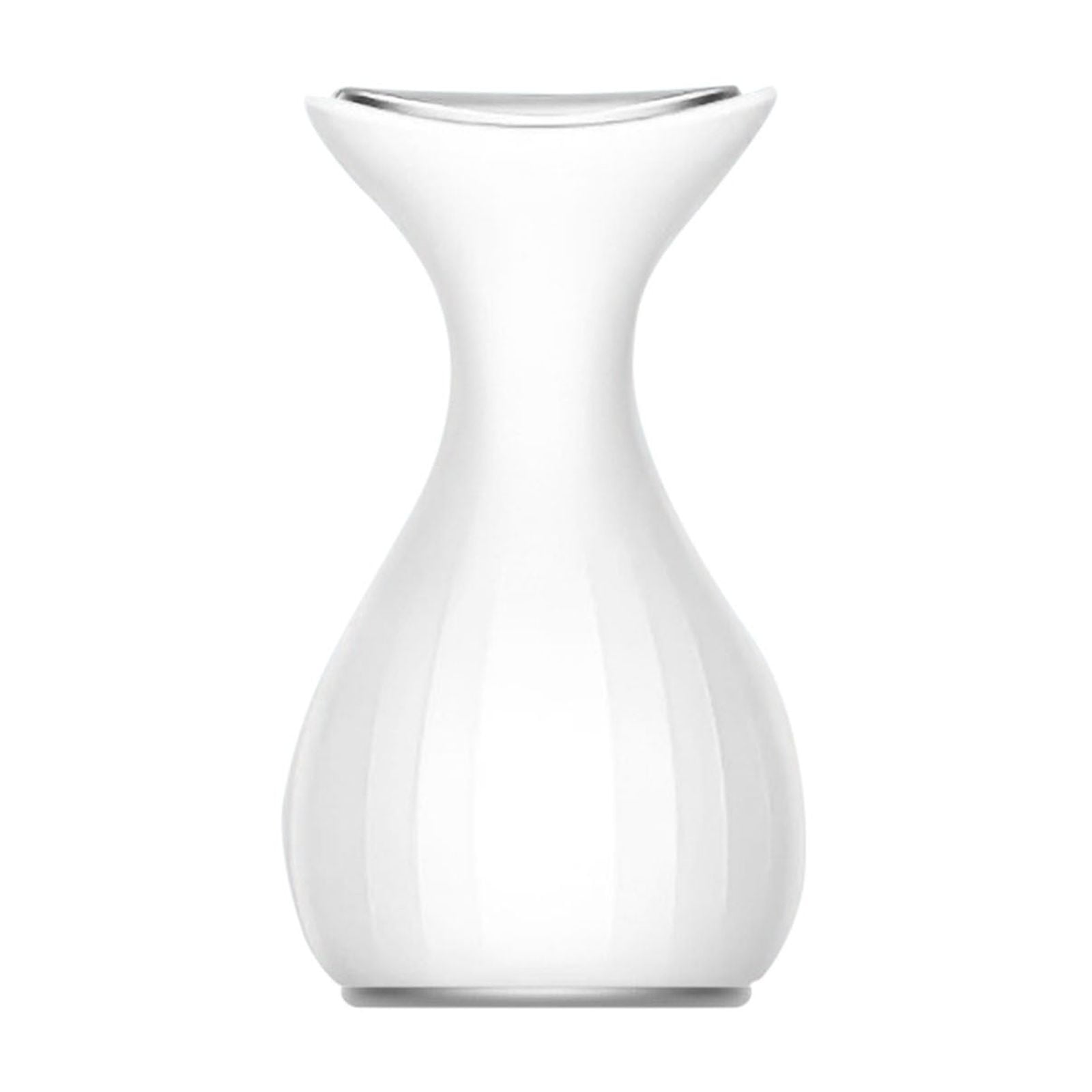 Beauty Clearance Under $10 Small Ice Facial Ice Compress Device To ...