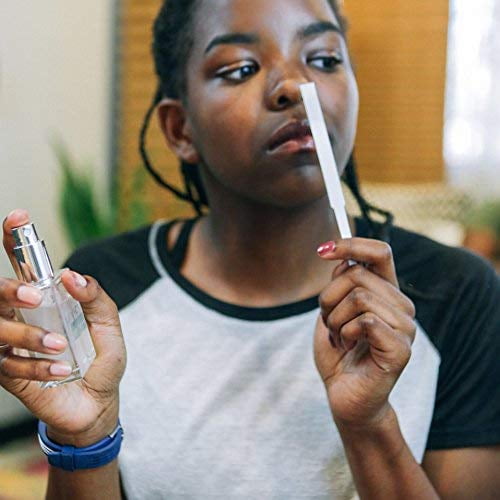 Beauty Create your own Indie Perfume Kit, 3 Bottle Set, Essential and ...