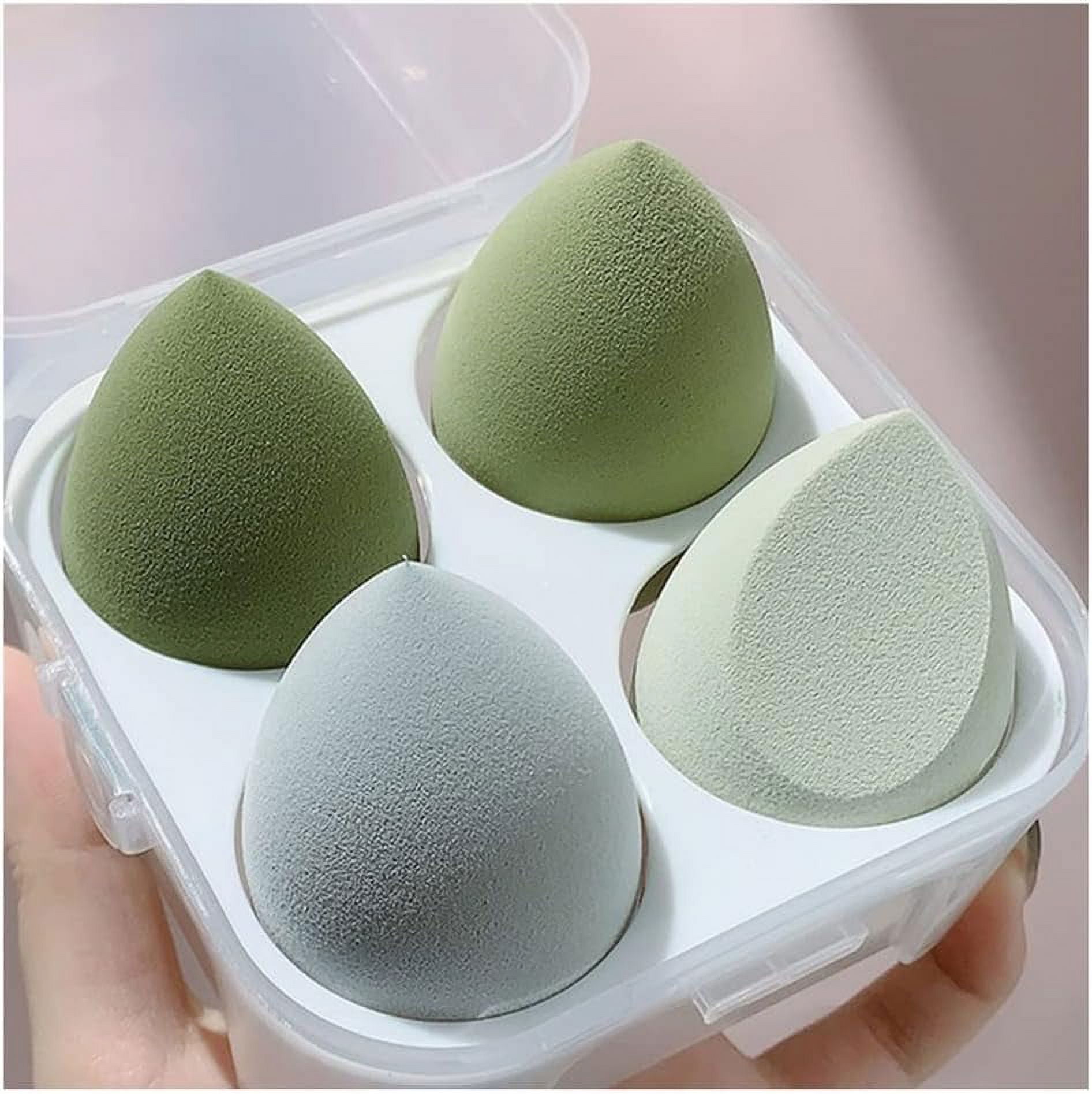 Beauty Egg Set, 4 Pcs Dry and Wet Use Makeup Sponge, with Egg Case, for ...