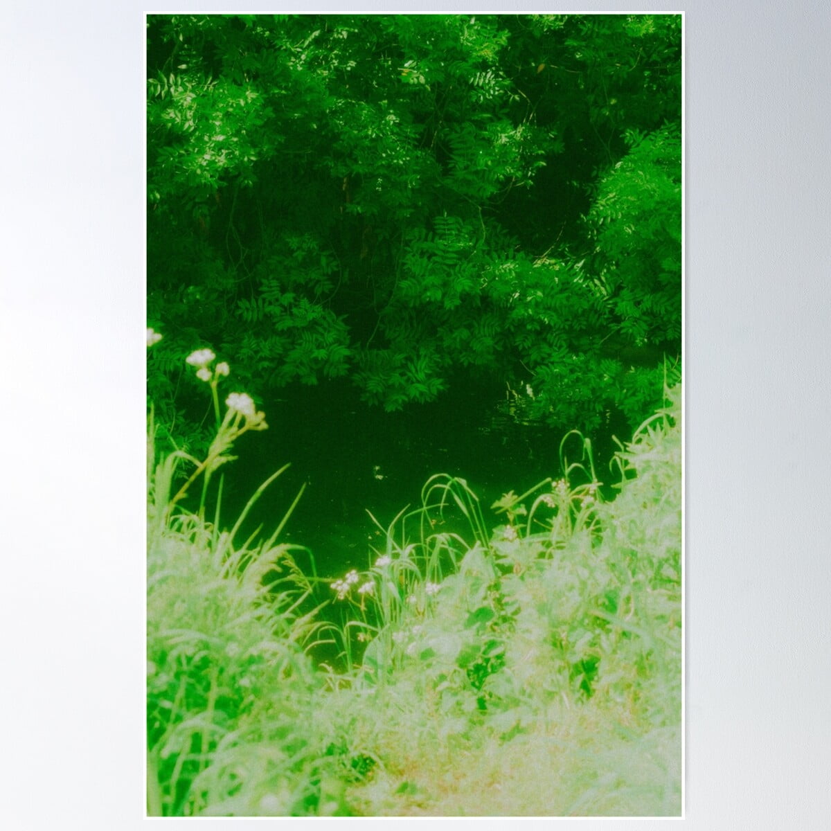 Beauty Of Nature Poster Wall Art Modern Wall Decor Wall Art Home Decor ...