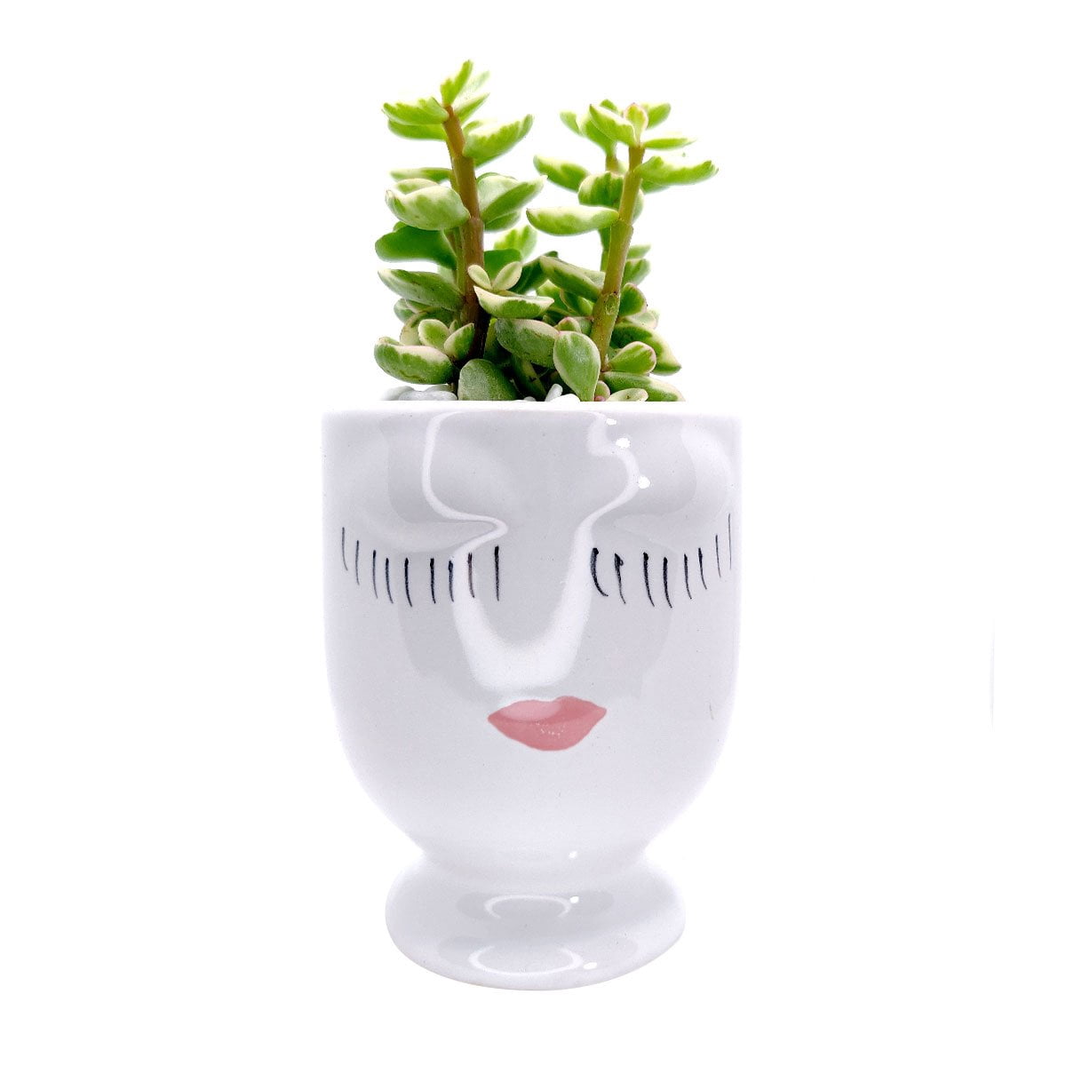 Beauty Pot, Hand-painted Pretty Lady Face Pot, Small Ceramic Pot for ...