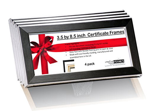 Beauty Salon License Frame Set - 3.5 by 8.5 inch Opening Self Standing ...
