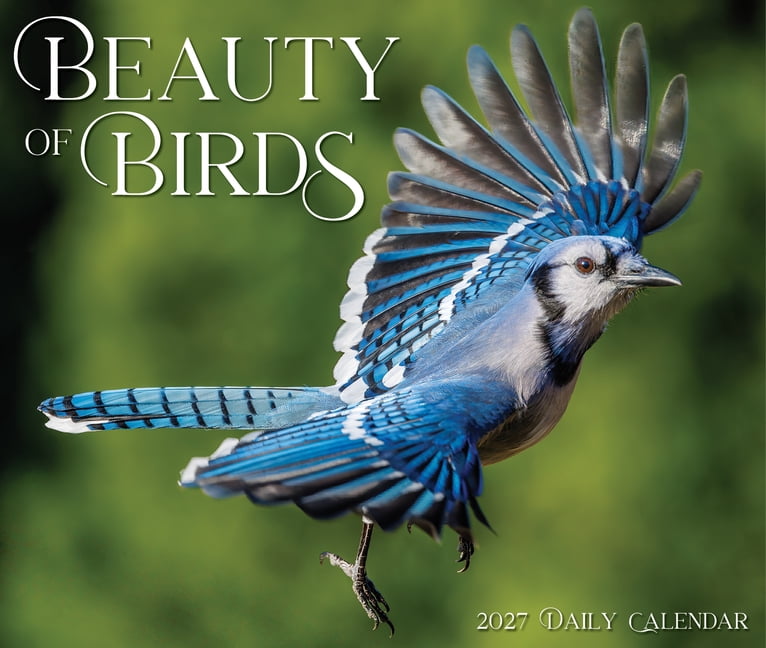 Beauty of Birds 2027 5.4 X 6.2 Box Calendar, (Paperback) - Walmart.com