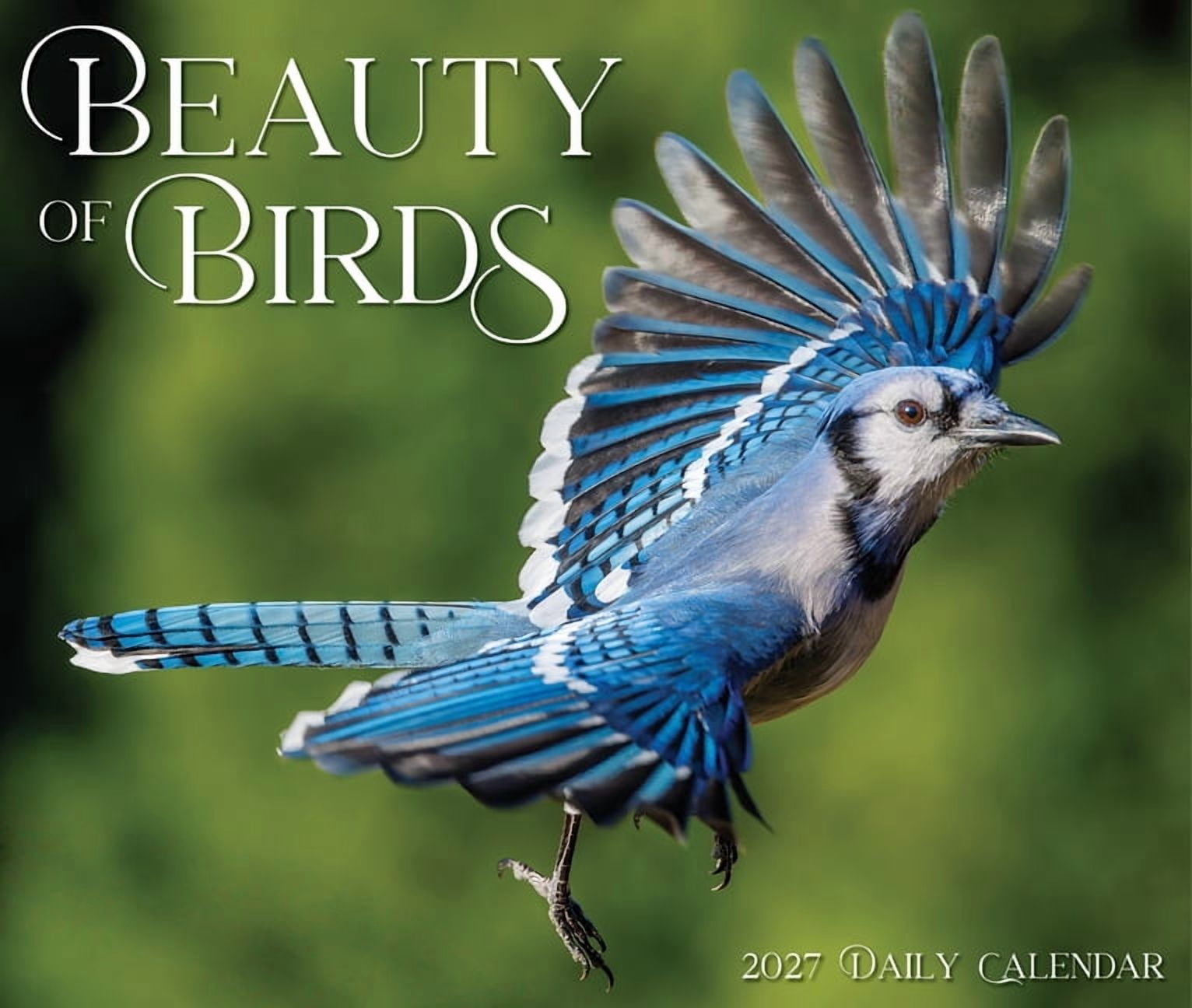 Beauty of Birds 2027 5.4 X 6.2 Box Calendar, (Paperback) - Walmart.com