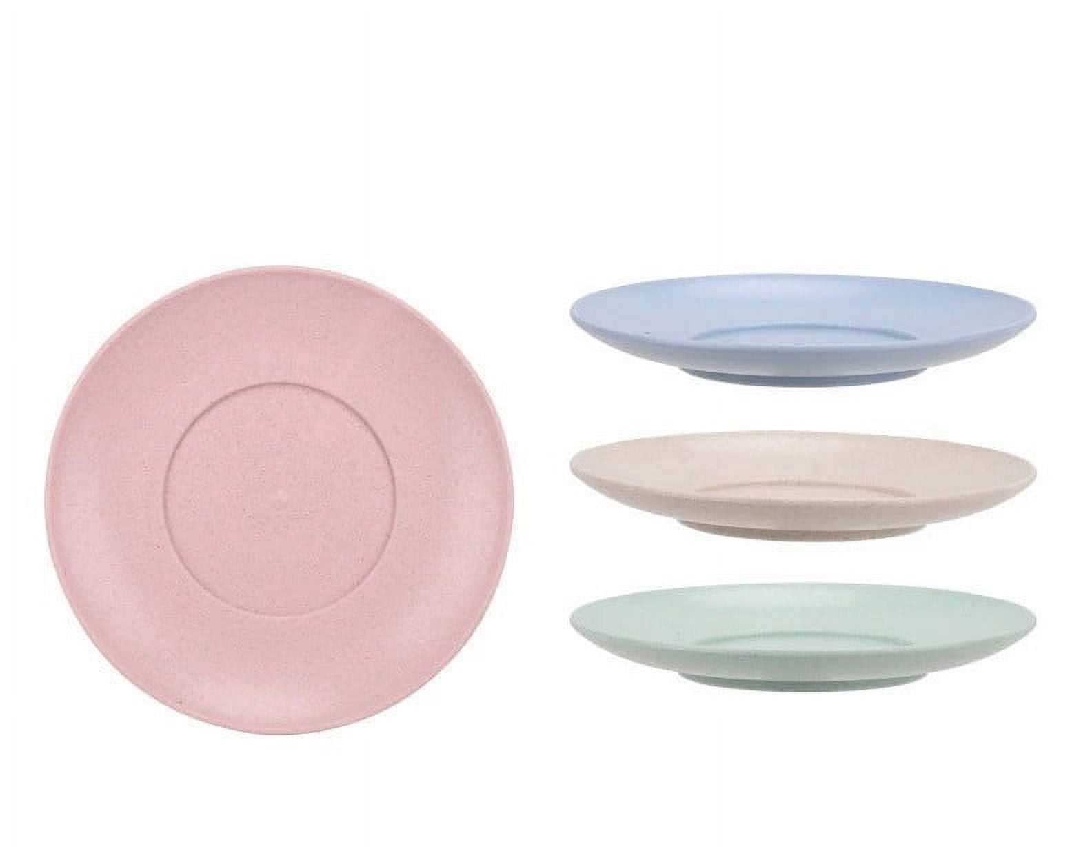 Beautynvta Plastic Dinner Plates Set of 4, Reusable Plate Set, Round ...