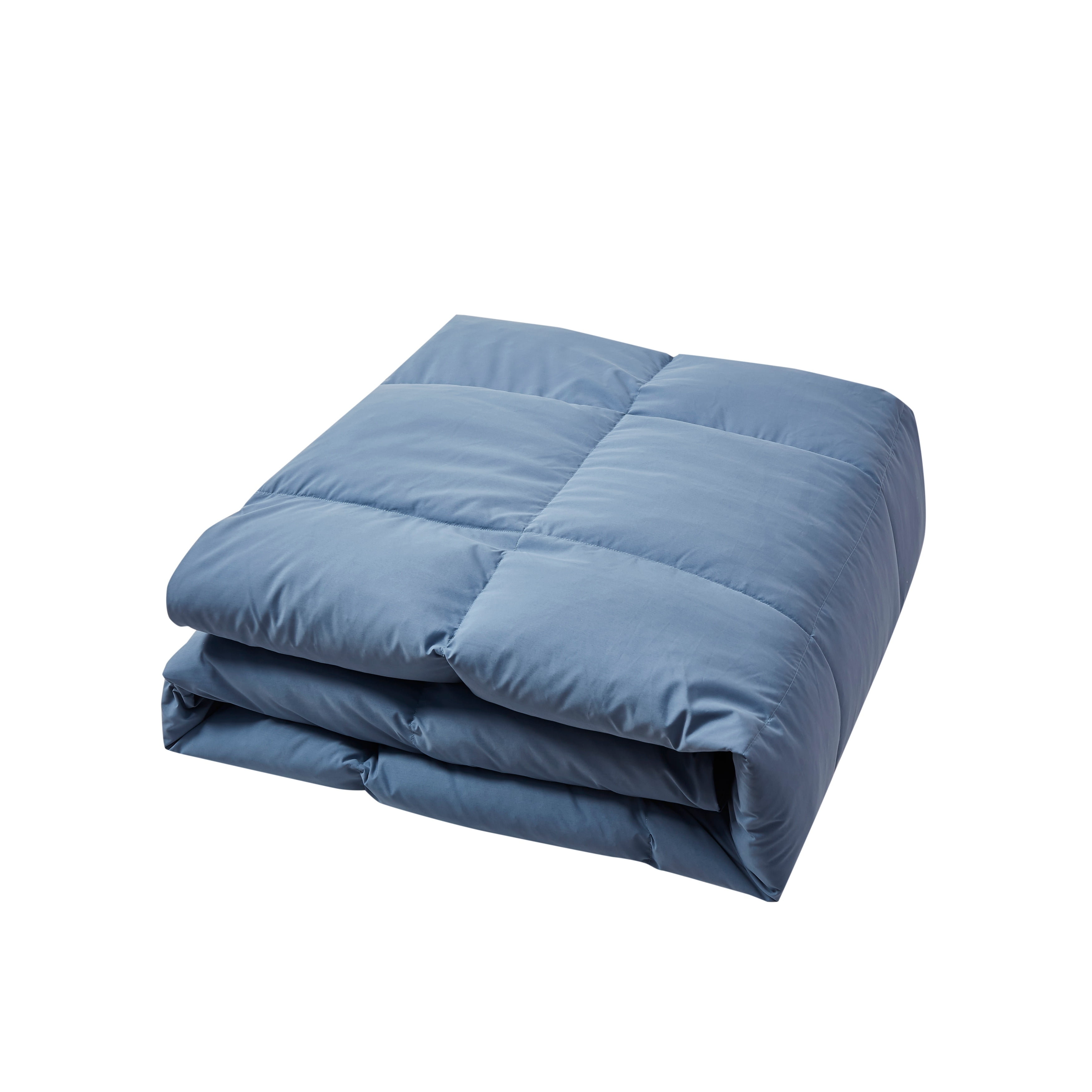 Beautyrest Color Feather And Down Comforter Blue - Full - Queen ...