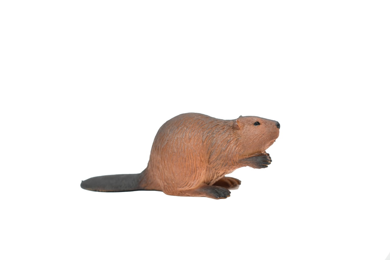 Beaver, Plastic Animal, Educational, Toy, Kids, Realistic Figure, Model ...