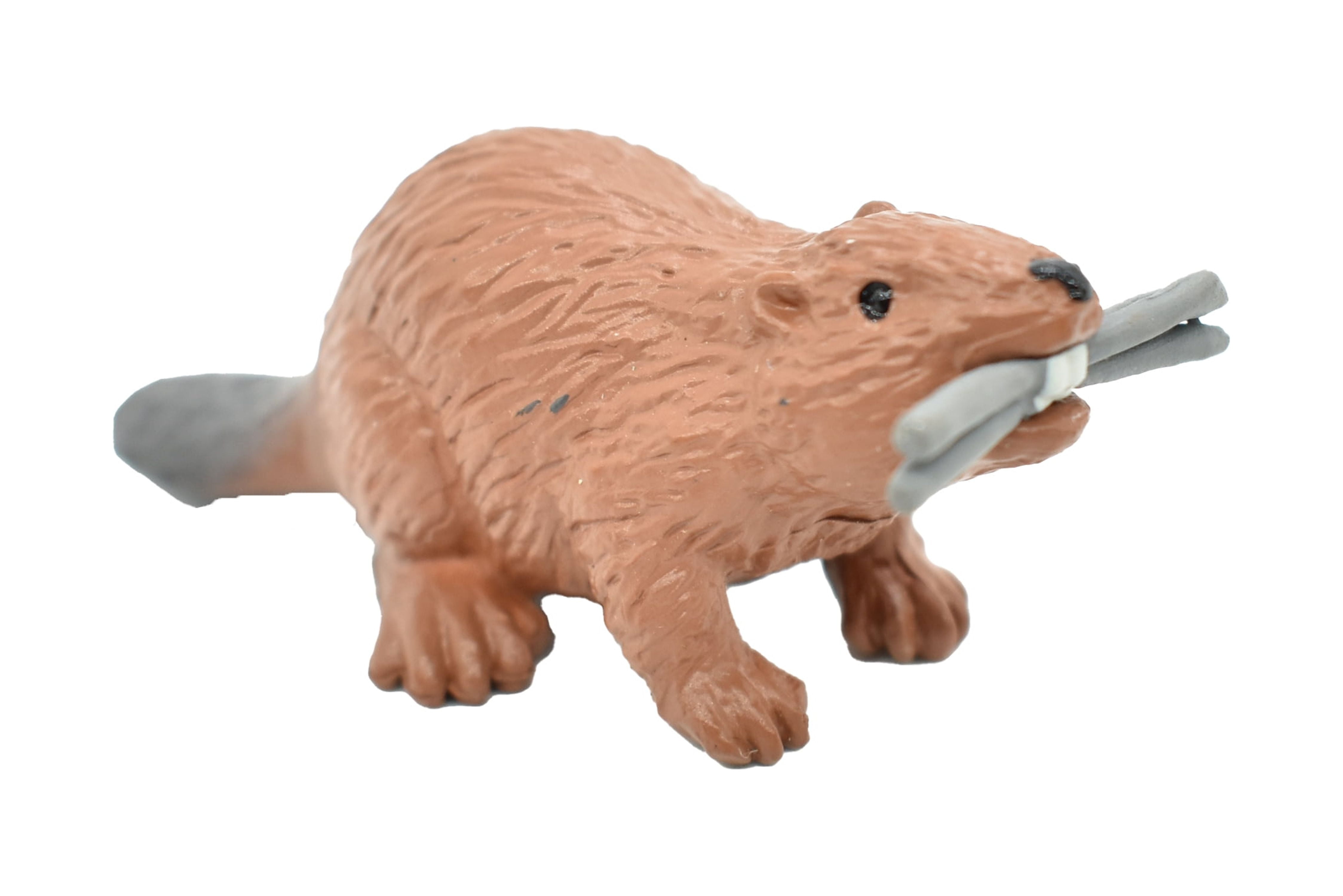 Beaver, Castor, Very Nice Plastic Animal, Educational, Toy, Kids ...