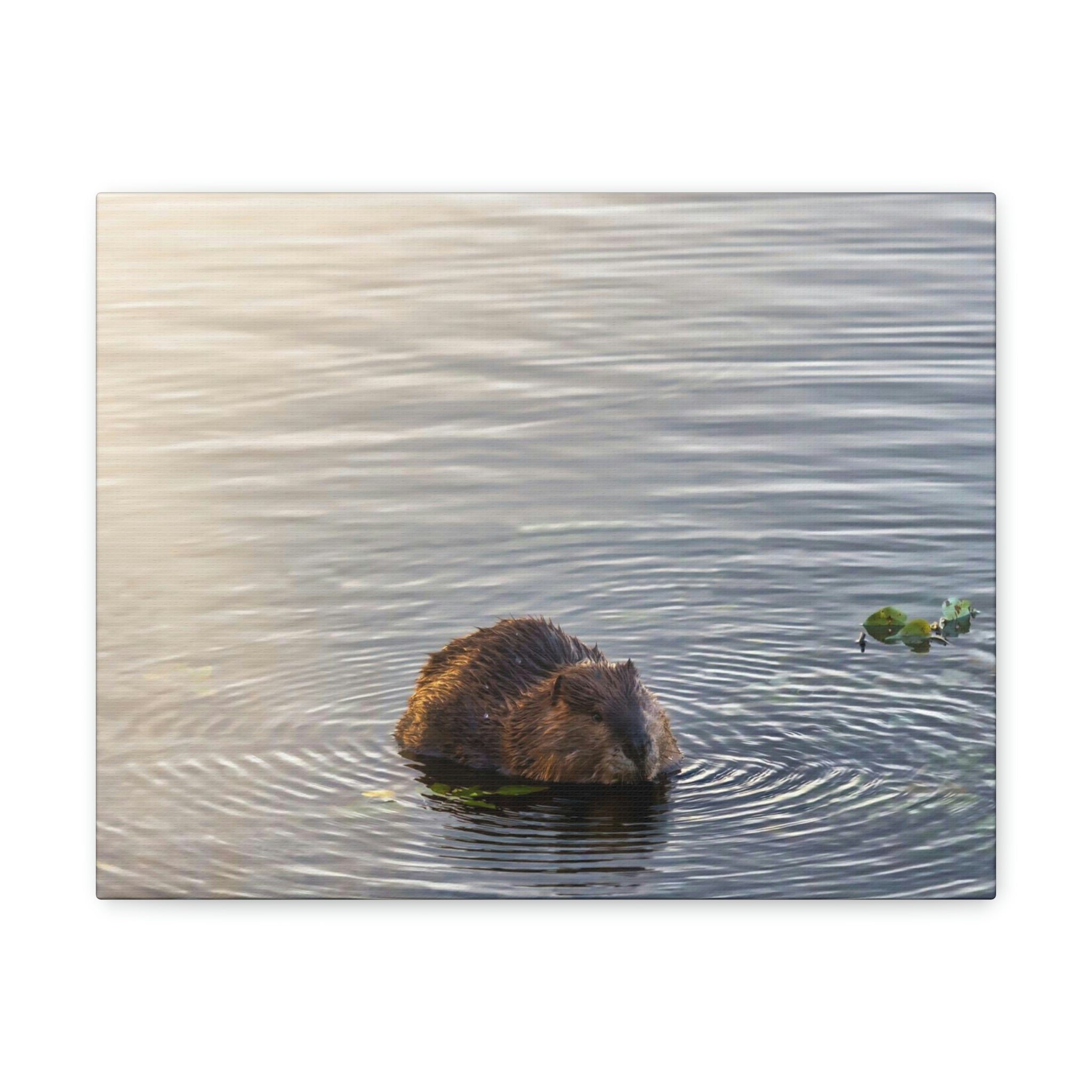 Beaver Hunting Beaver on Hunt Print Animal Wall Art Wildlife Canvas ...