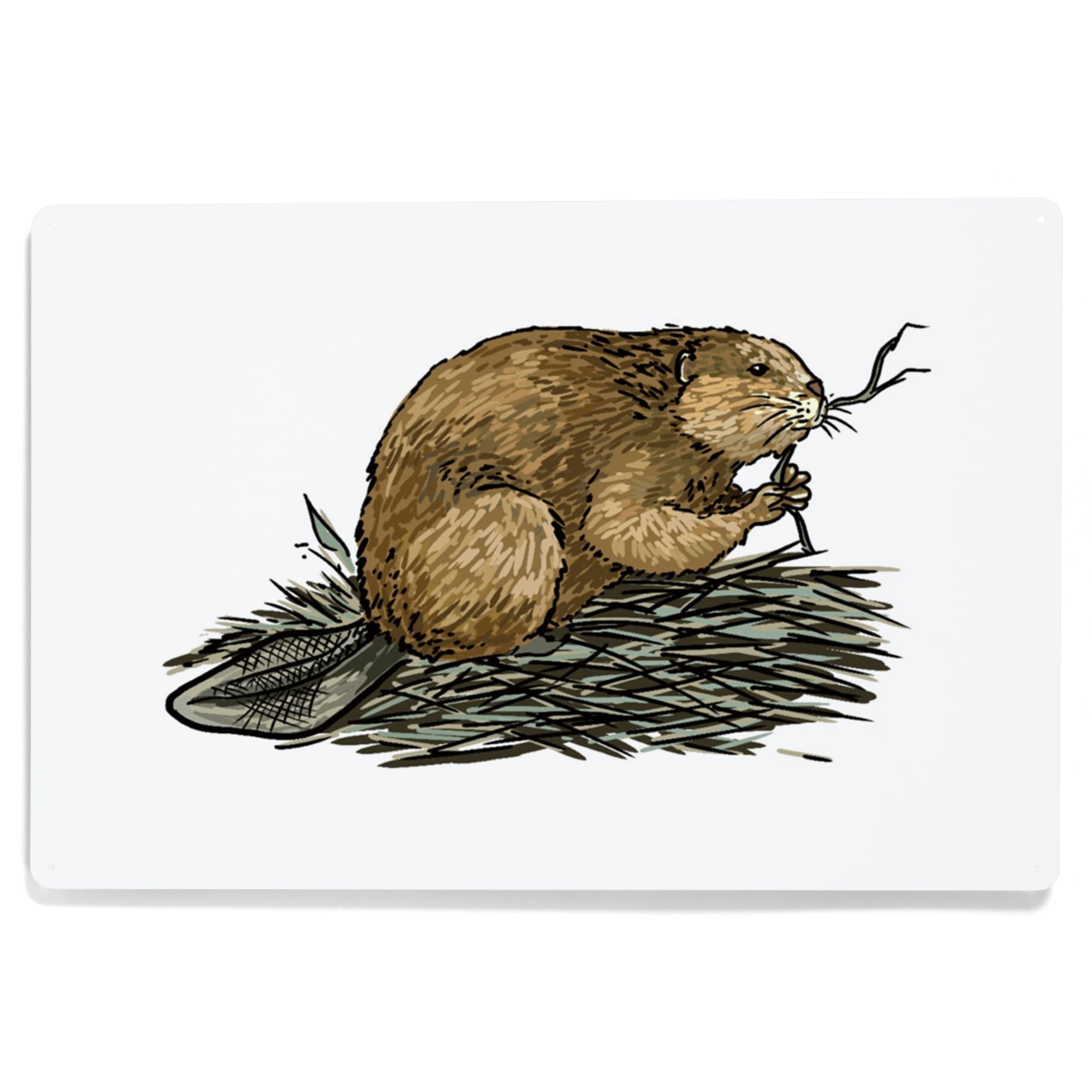 Beaver, Icon (12x18 Aluminum Art, Indoor Outdoor Metal Sign Decor ...