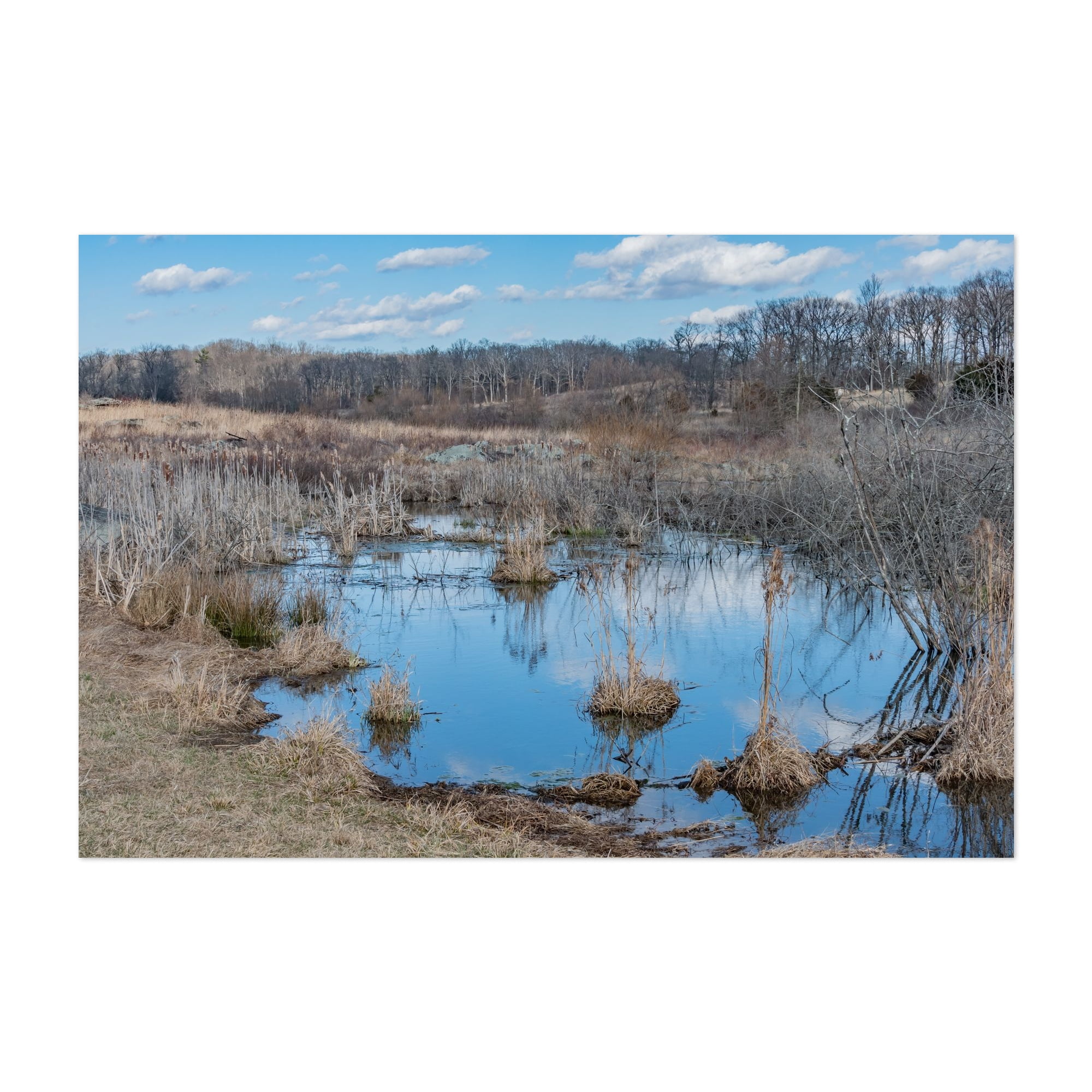 Beaver Pond Reflections on a Late Winter Afternoon - Pennsylvania ...