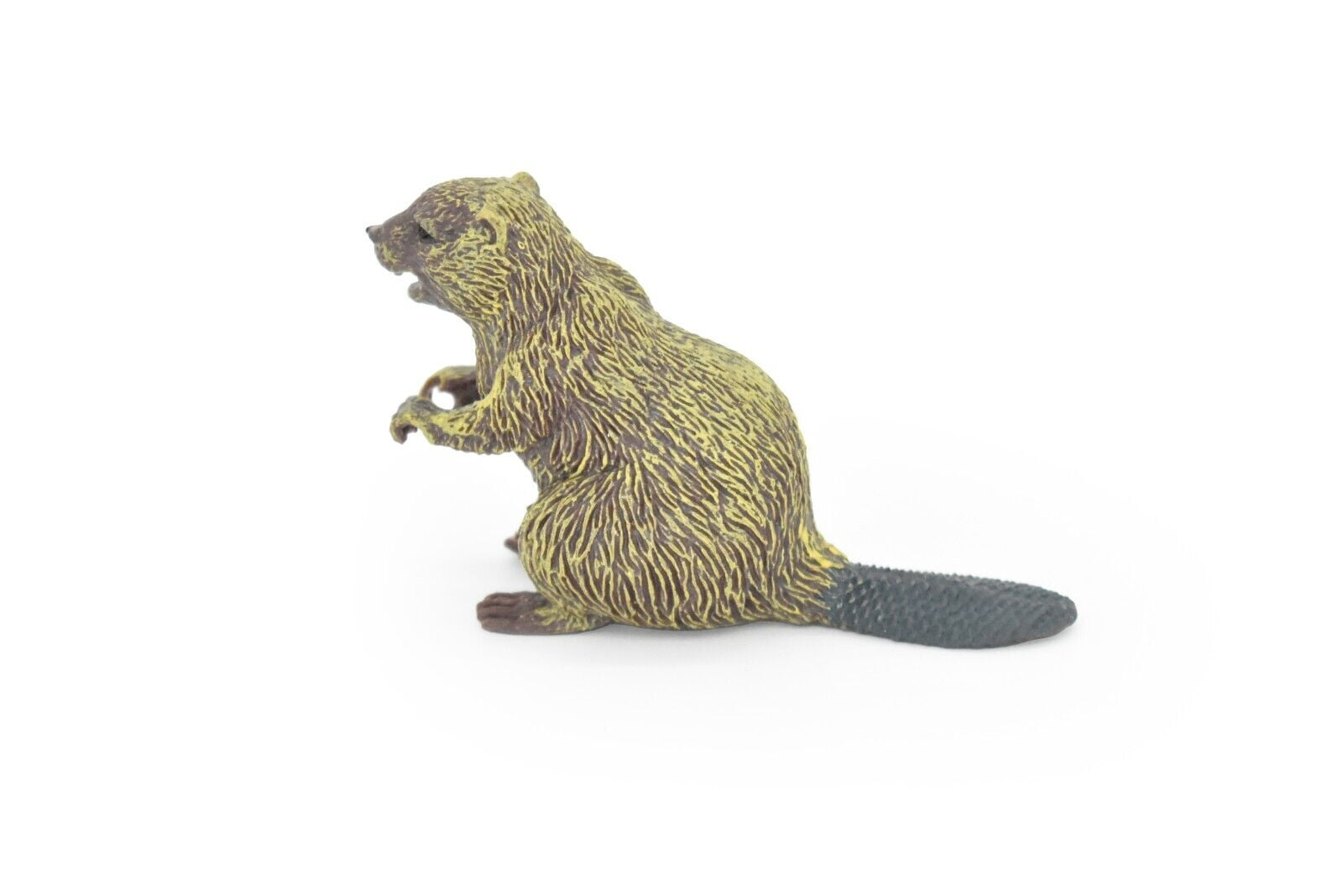 Beaver, Semiaquatic Rodents, Castor, Museum Quality, Rubber Animal ...