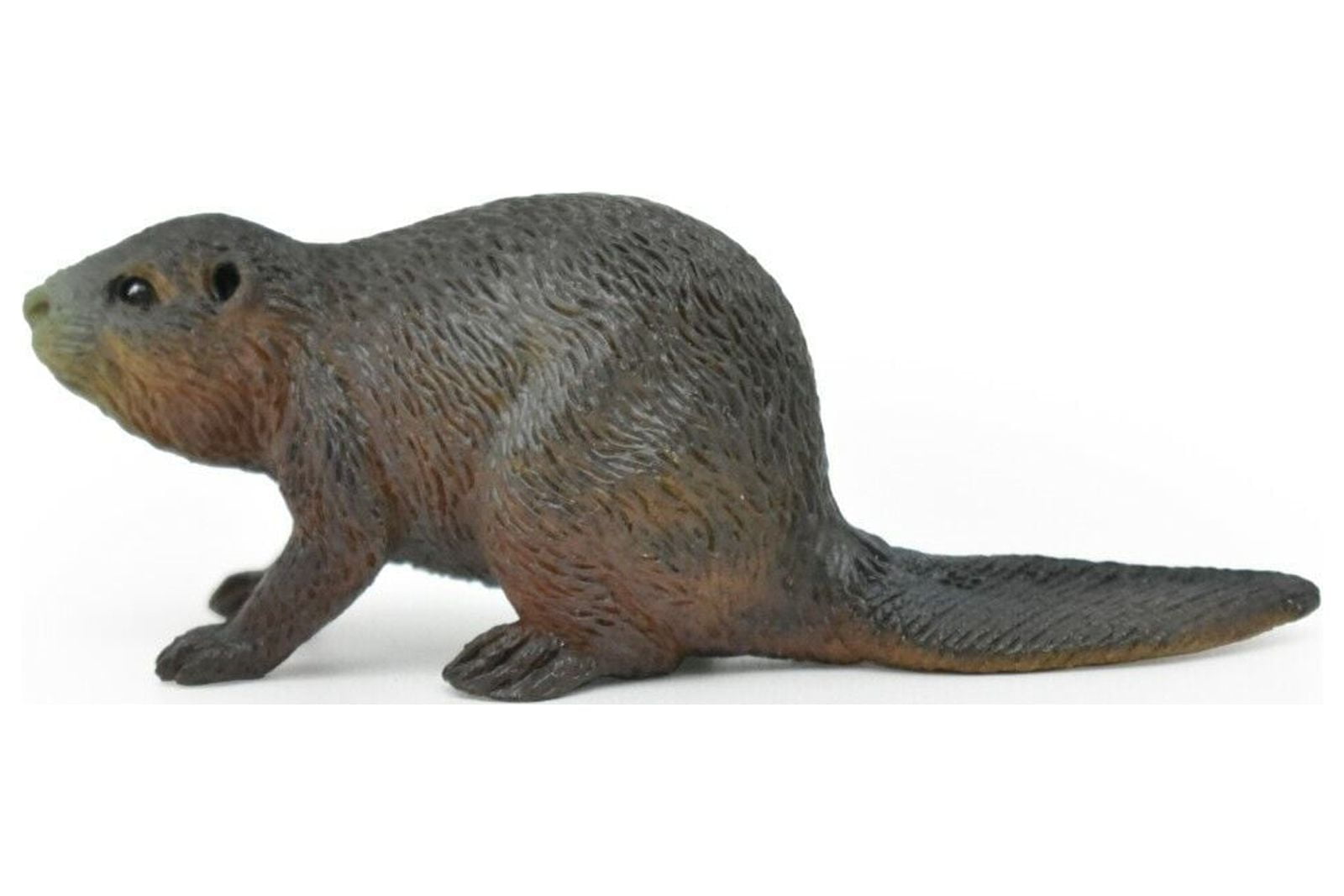 Beaver Toy, Realistic Museum Quality Rubber Castor Replica 3" CWG148 ...