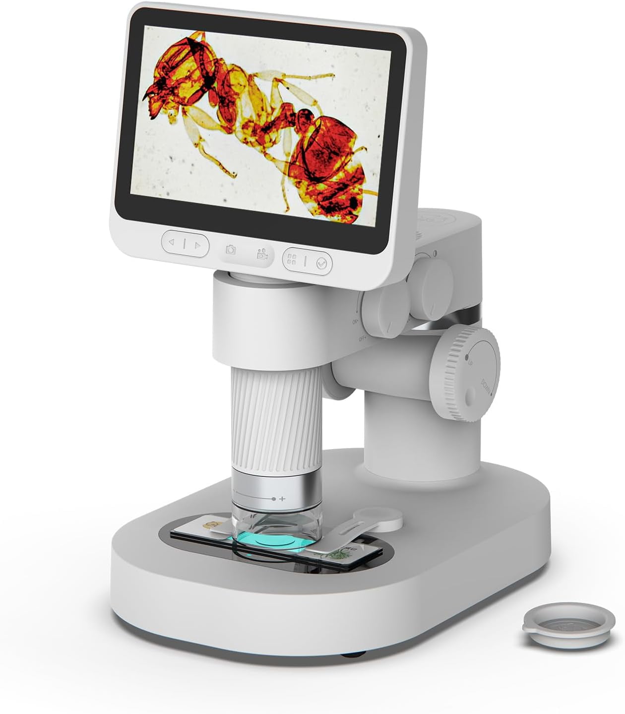 BeaverLAB Darwin M2 Microscopio Digital con Pantalla Chile | Ubuy