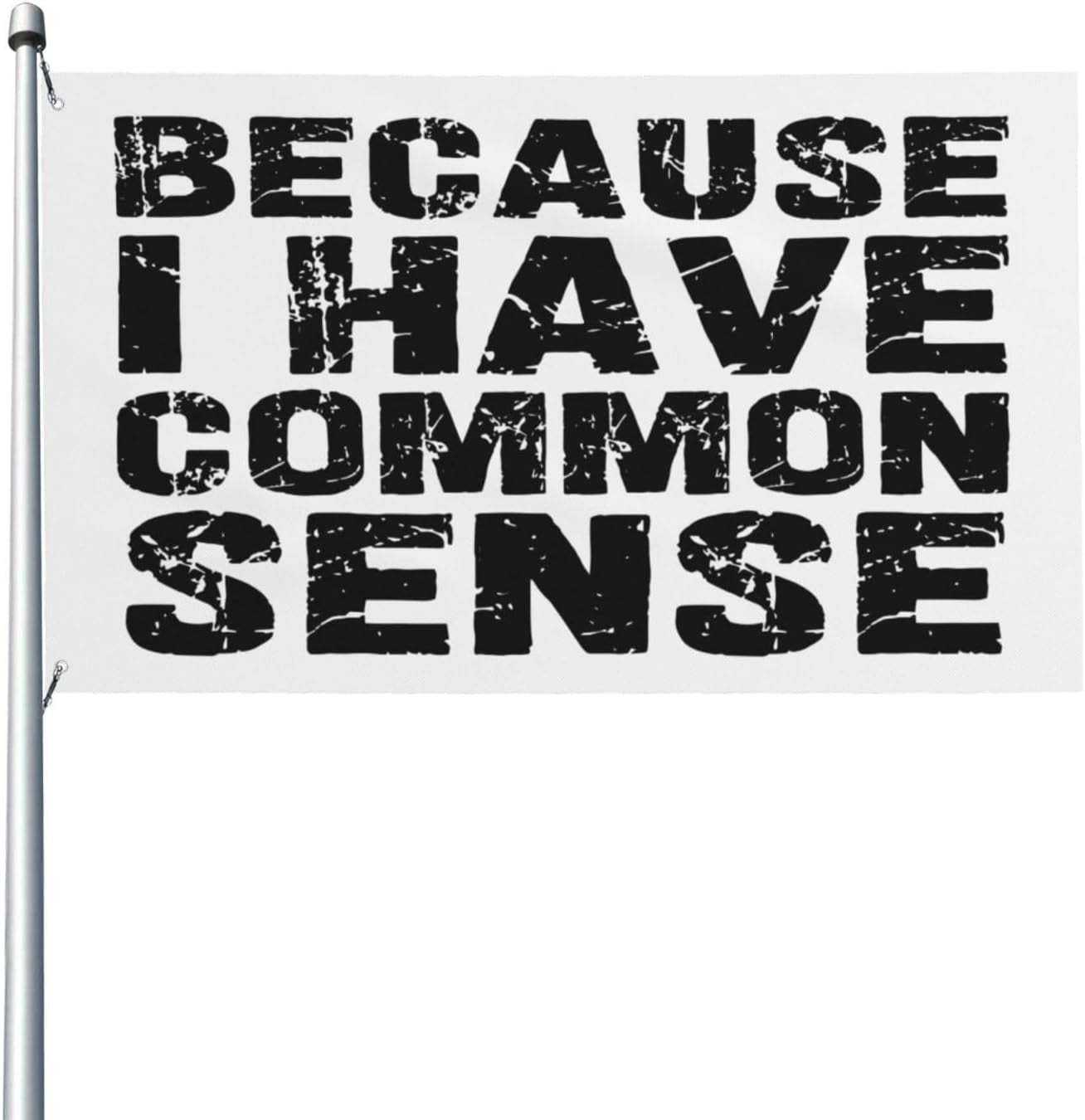 Because I Have Common Sense Flag 3x5 Supporter Usa Flag 3x5 Ft Banner ...