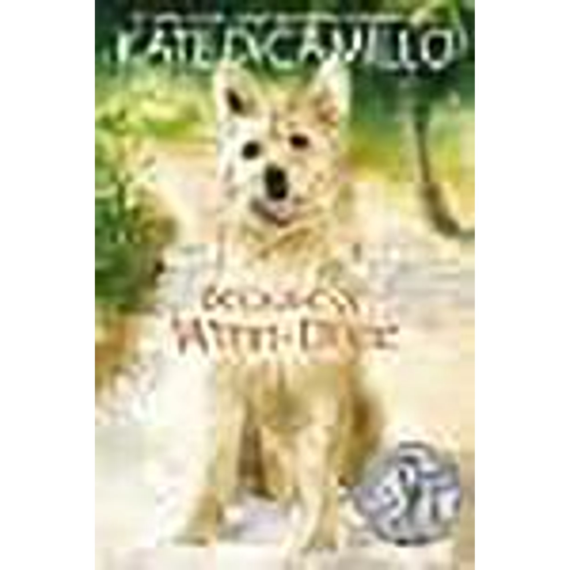 Because Of Winn Dixie Book