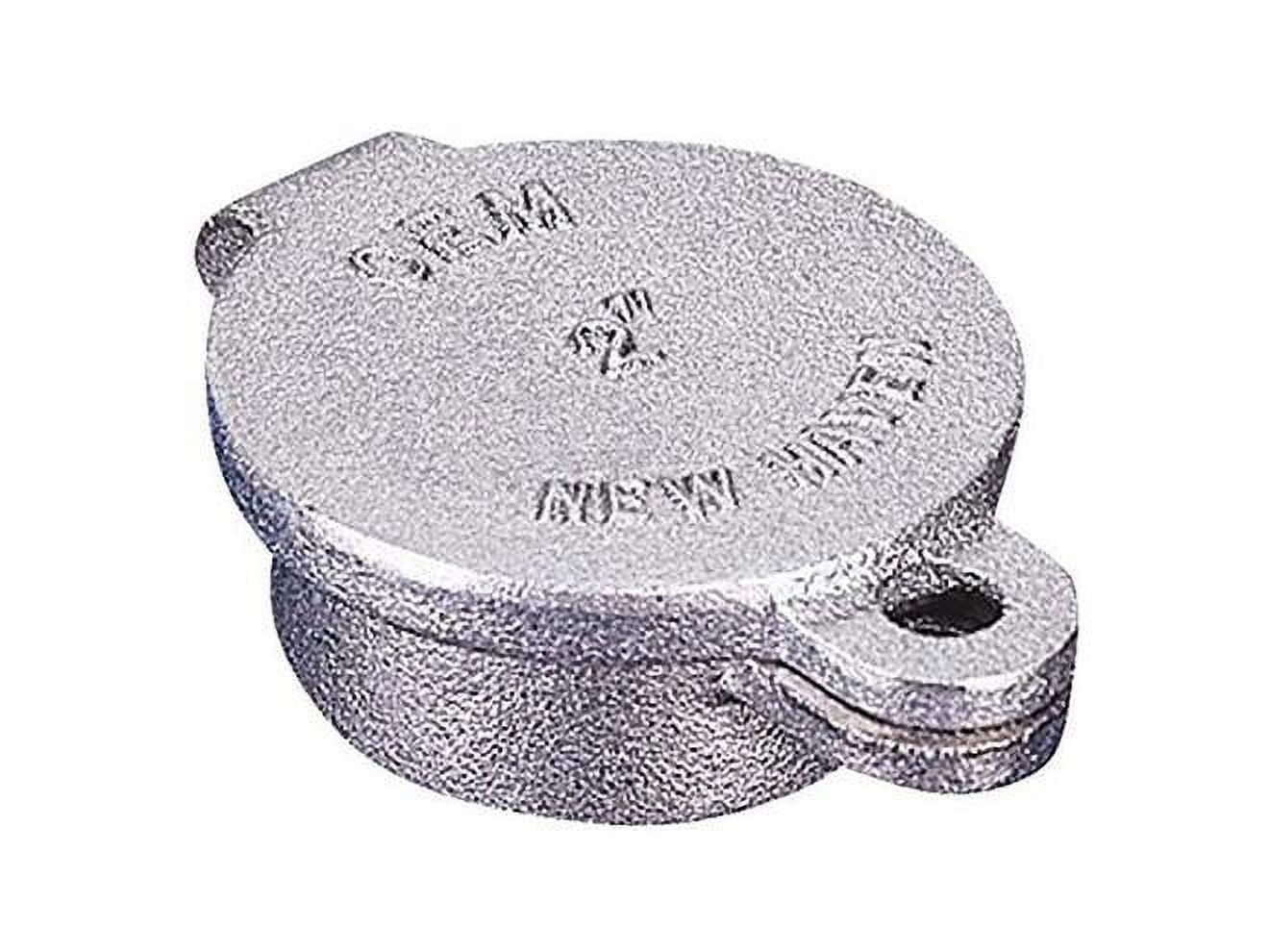 Beckett 14171 2″ Female NPT Hinged Oil Tank Fill Cap with Economical ...