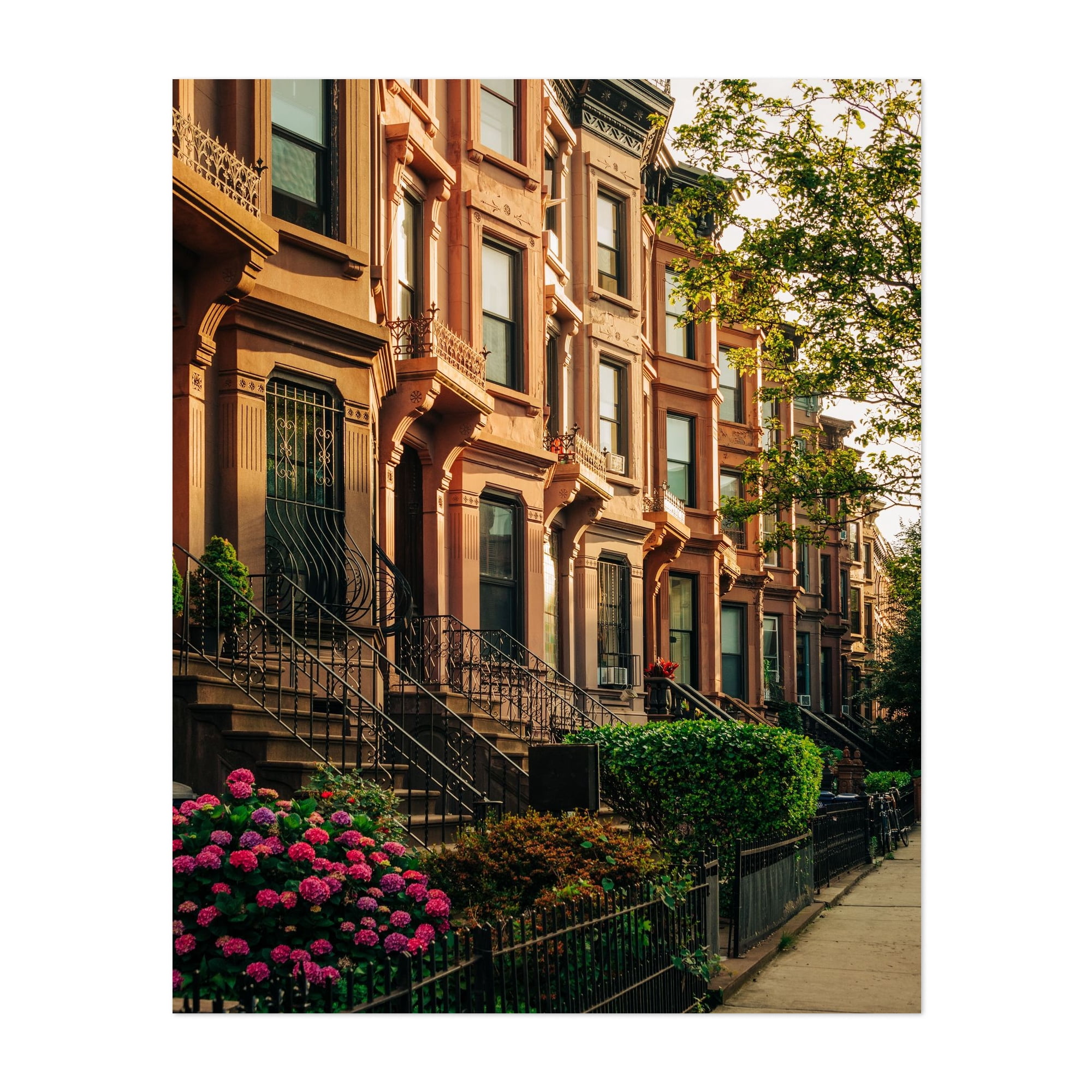 Bed-Stuy Brownstones 01 - Brooklyn New York Photography Architecture ...