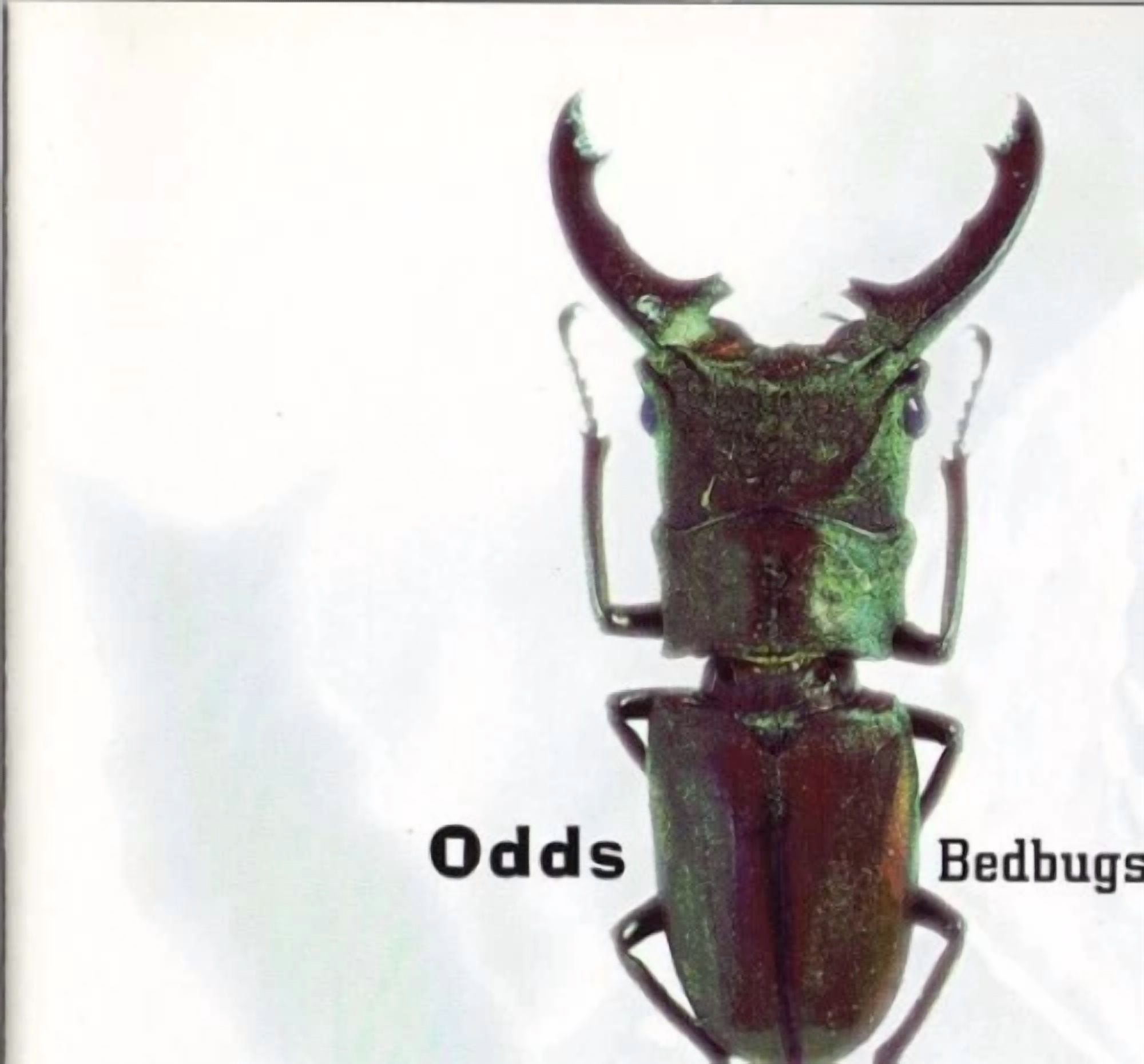 Bedbugs - Music CD - - 1993-01-01 - Zoo - Very Good - Audio CD - 1 Disc ...