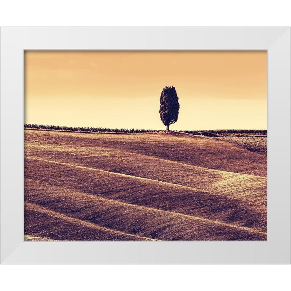 Bednarek, M. 24x20 White Modern Wood Framed Museum Art Print Titled ...