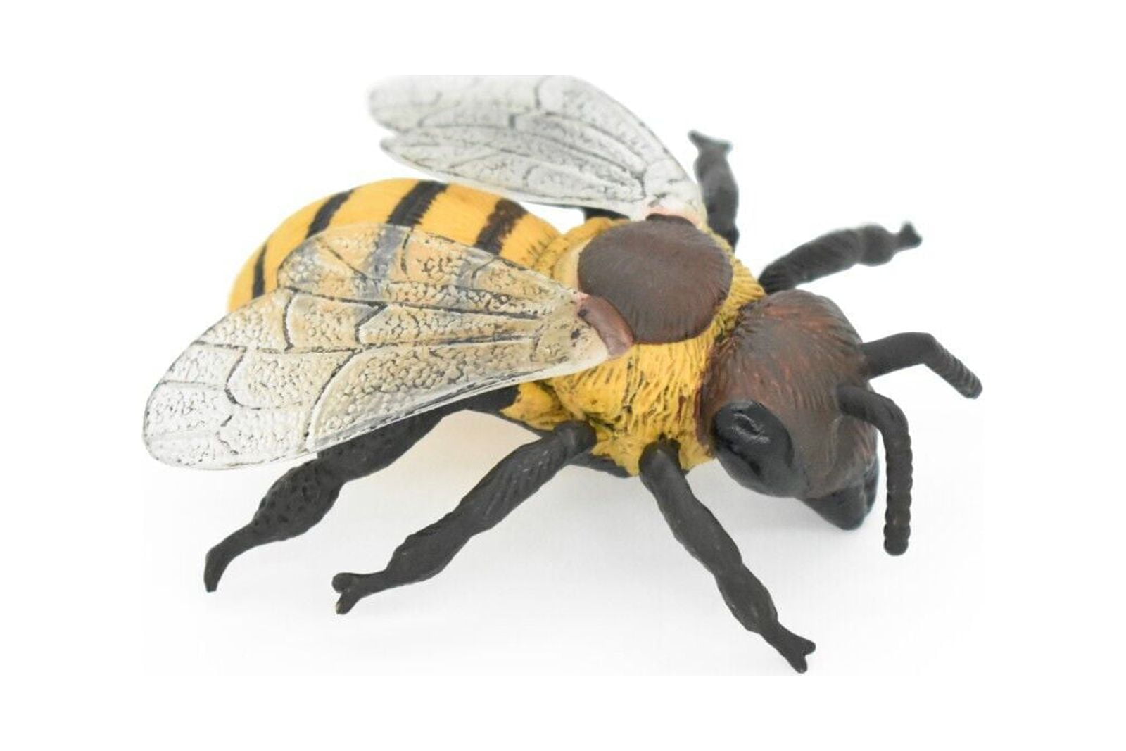 Bee, Bumblebee, Hornet, Yellowjacket, Honey, Insect, Very Realistic ...