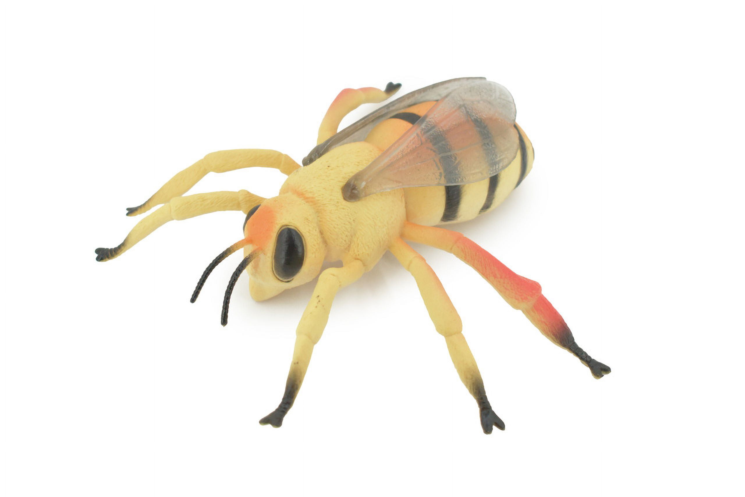 Bee, Bumblebee, Rubber Insect, Educational, Toy, Kids, Realistic Figure ...