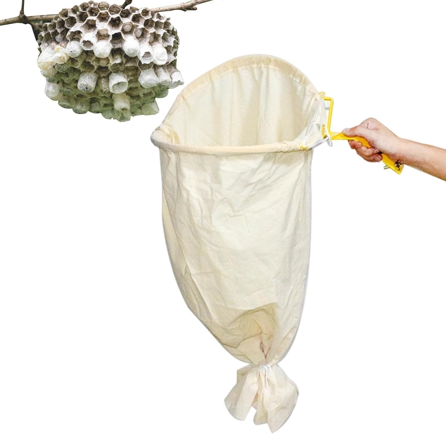 Bee Catcher Net, Bee Tools for Beekeeping, Steel Frame Telescopic ...