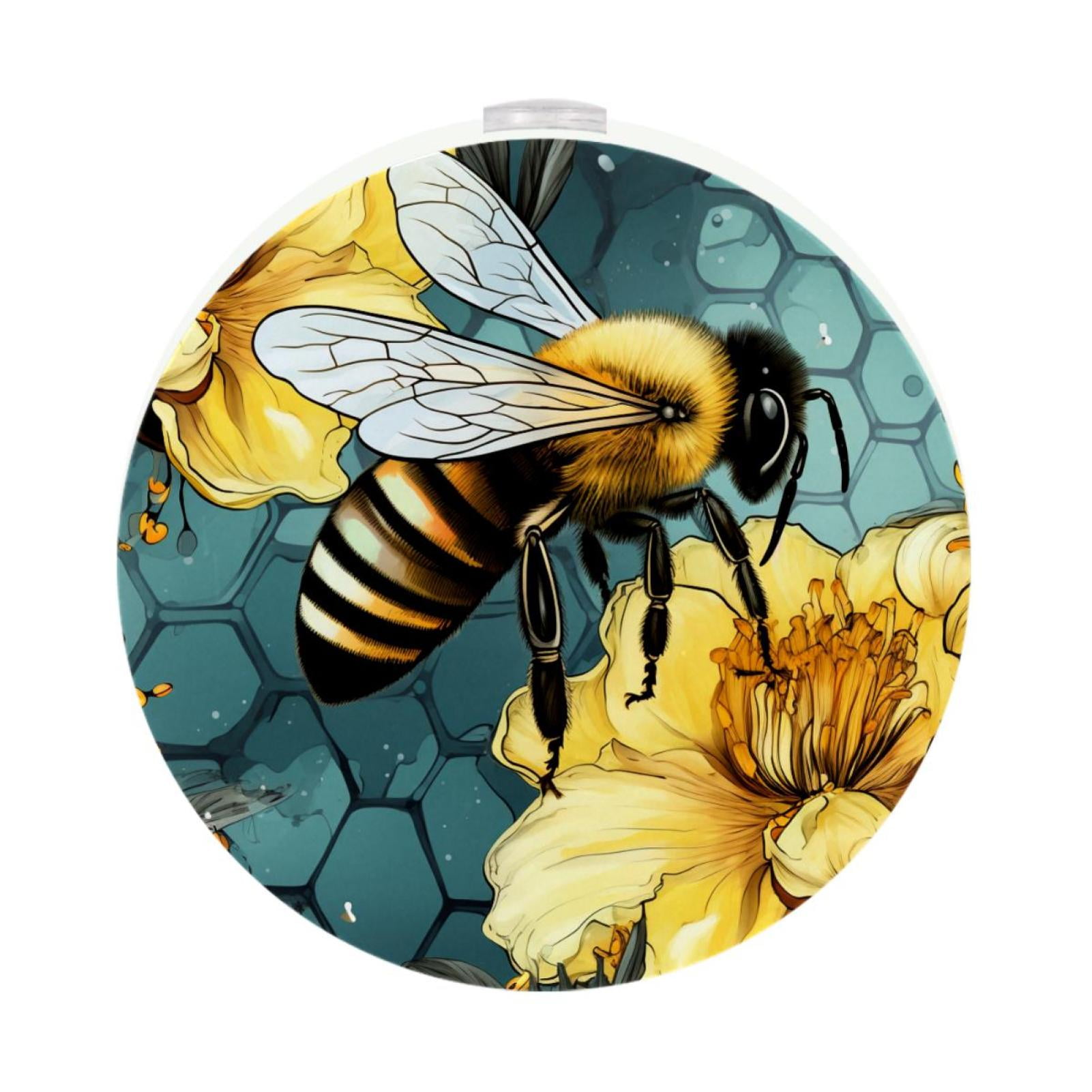 Bee Circular Night Light - Two Pack LED Wall Night Lights - Walmart.com