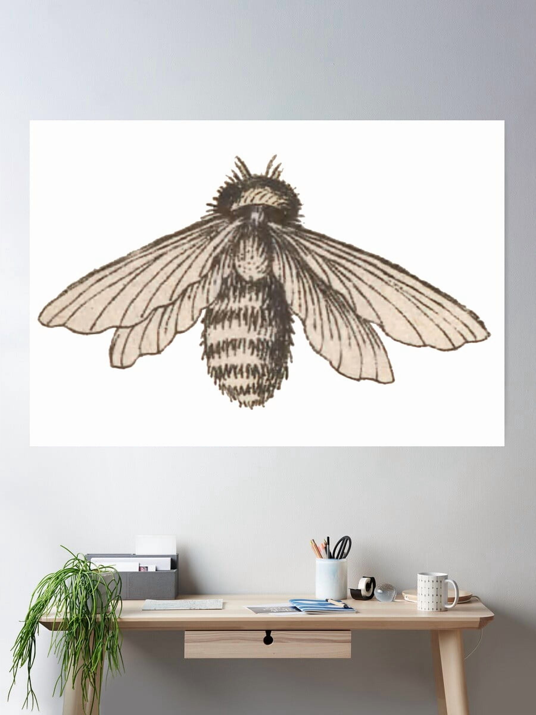 Bee Drawing Entomology Illustration Poster Wall Art Modern Wall Decor ...