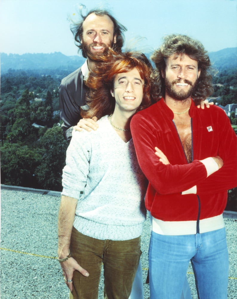 Bee Gees Band Members standing Behind a Mountain Scenery in White Shirt ...