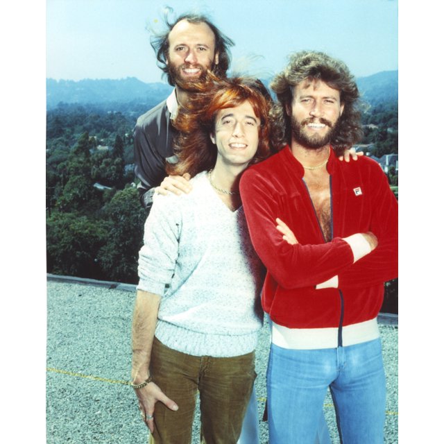 Bee Gees Band Members standing Behind a Mountain Scenery in White Shirt ...