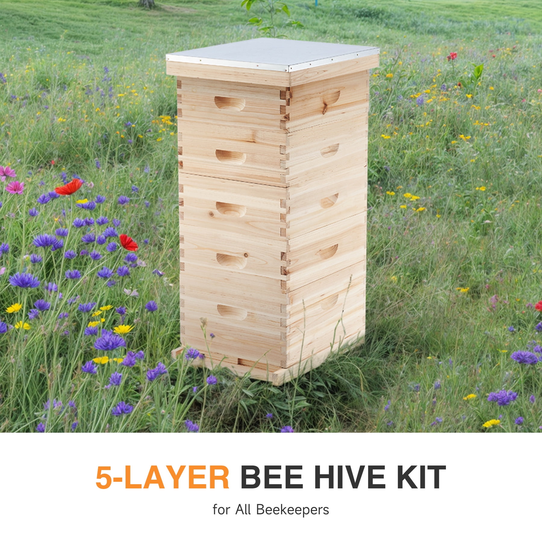 Bee Hive Boxes Starter Kit, Langstroth Beehive for Bee Keeping, 5 Layer ...