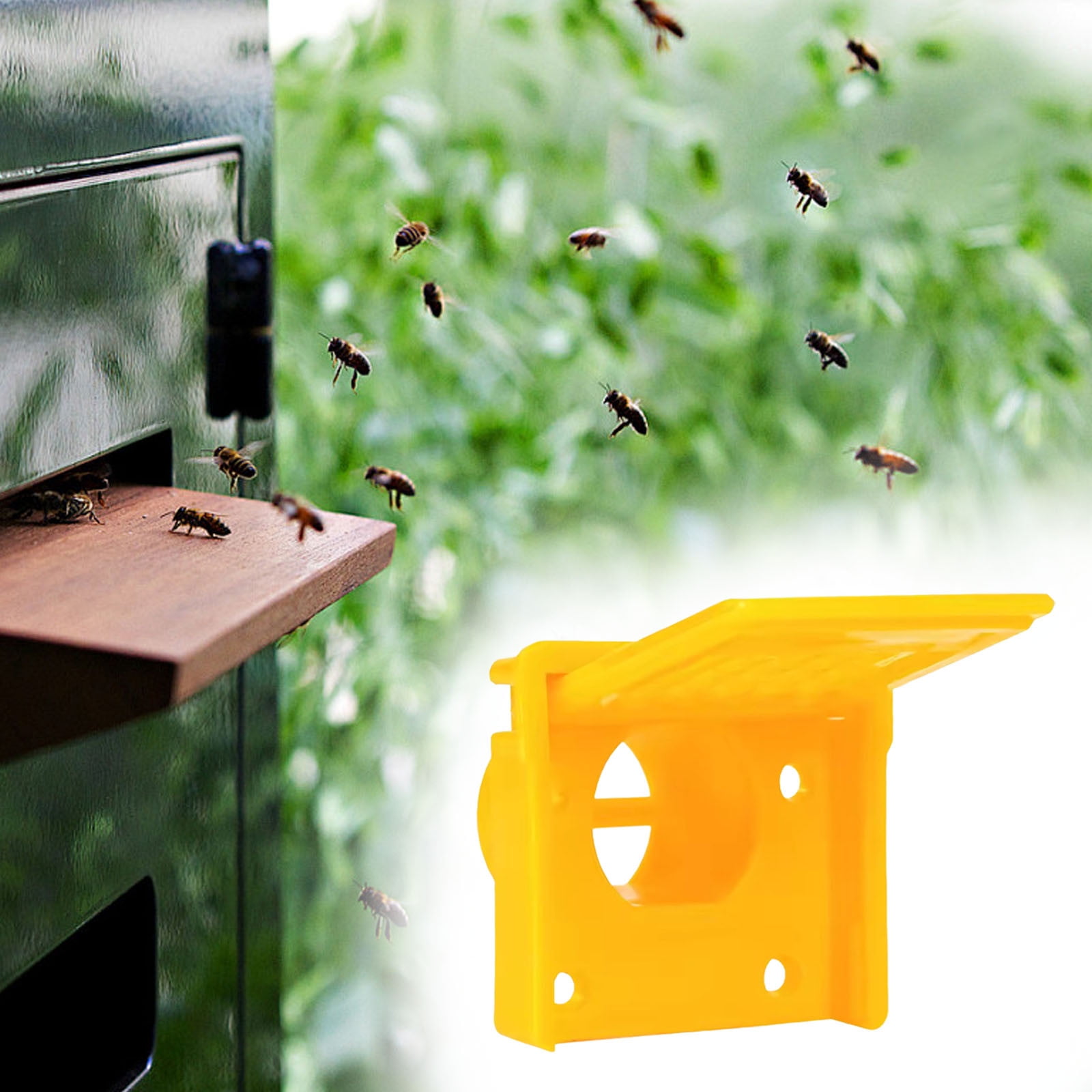 Bee Hive Entrance Reducer, Orange Plastic Beehive Entrance Reducer ...