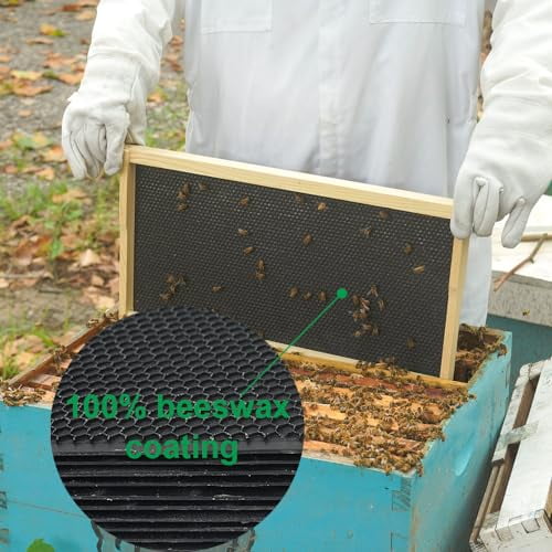 Bee Hive Foundations Sheets Waxed Coated Comb 9" Heavy 10 Pcs Honey ...