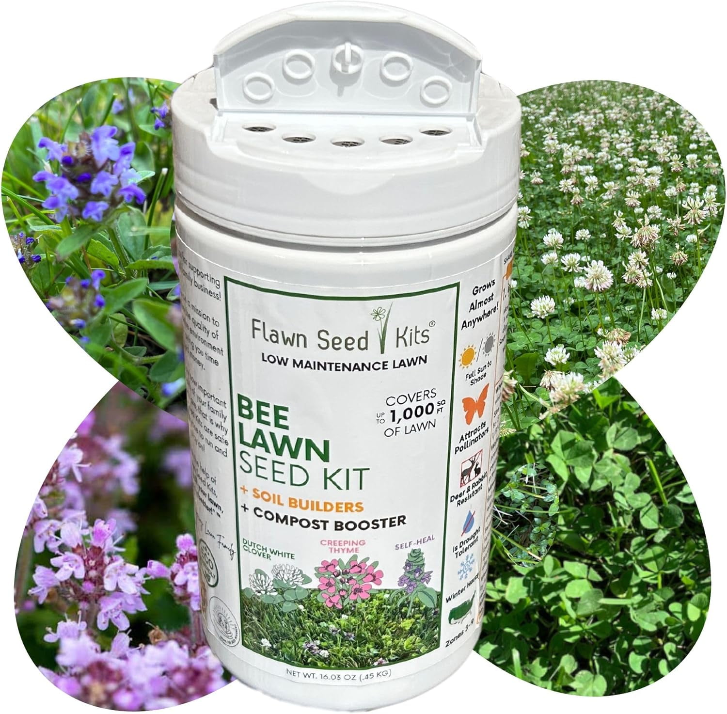 Bee Lawn Seed Kit, Dutch White Clover + Self-Heal + Creeping Thyme ...