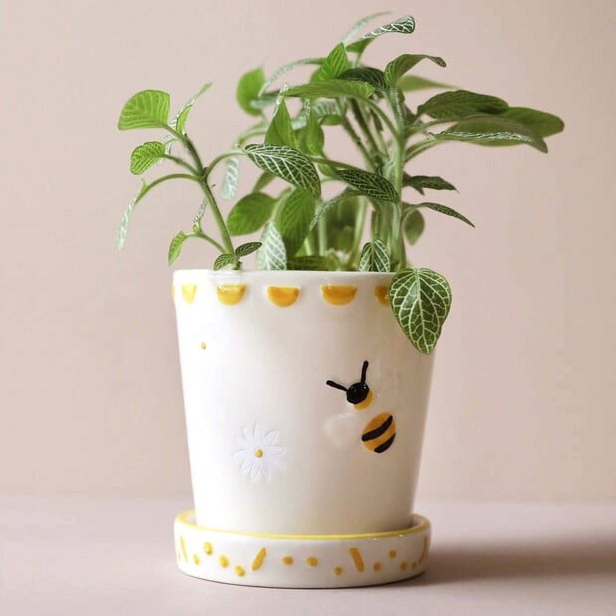 Bee Planter Pot with drain hole | Succulent Planter | Cute Planter ...