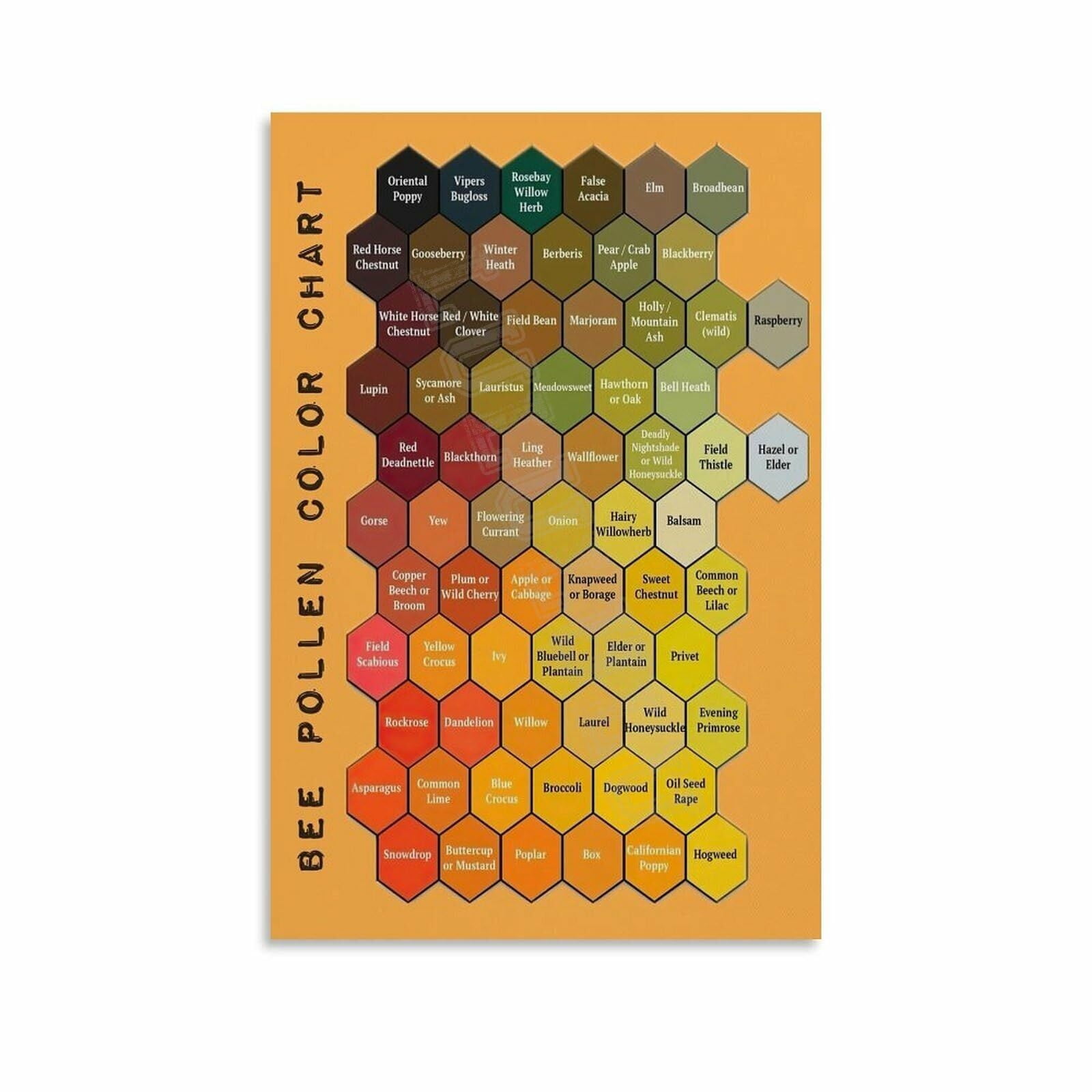 Bee Pollen Color Chart Poster Canvas Painting Posters And Prints Wall ...