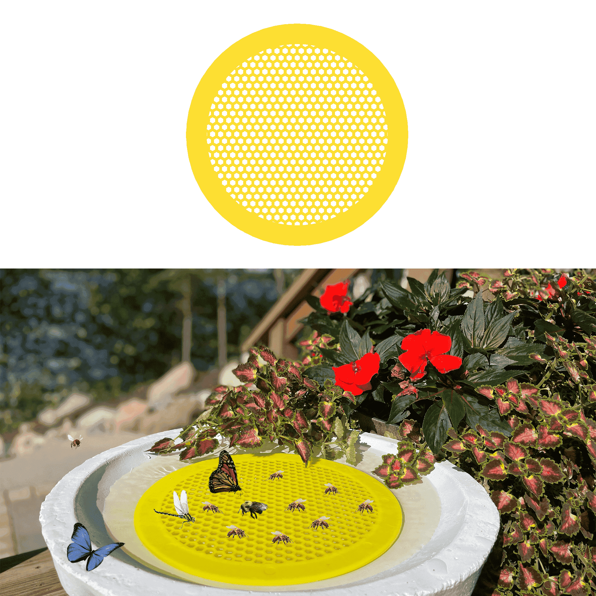 Bee Watering Station | Pontoon Waterer Feeder for Bees, Butterflies ...