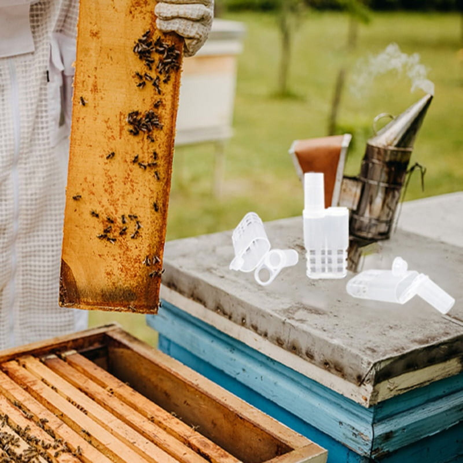 Bee Queen Cages Bee Cages Beekeeping Catcher Bee Equipment - Walmart.com
