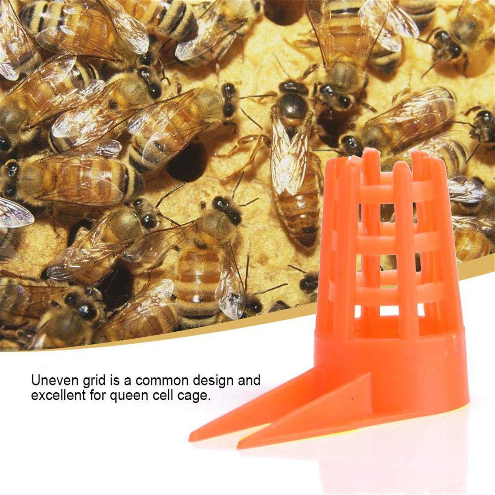 Bee Queen Cap Honey Bee Comb Push-in Queen Cell Protectors Plastic ...