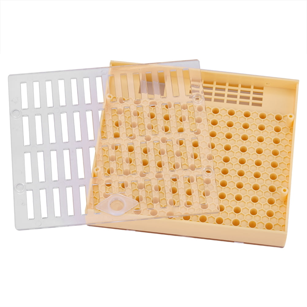 Bee Queen Rearing Cell Cupkit Box Case For Cupularve System Beekeeping ...