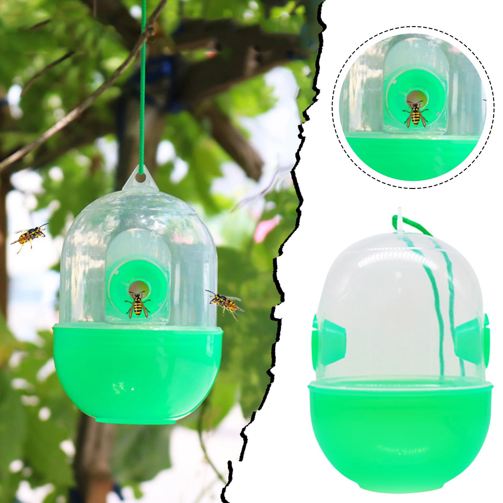 Bee Traps For Outside Horrent Fly Outdoor Catcher Fly Can Enter Outdoor ...