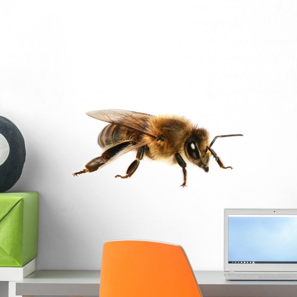 Bee Wall Decal by Wallmonkeys Peel and Stick Graphic (18 in W x 8 in H ...
